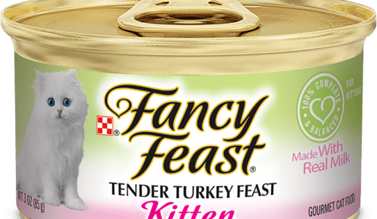 fancy feast kitten